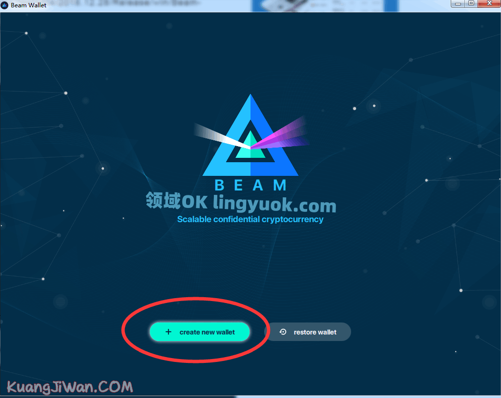 BEAM Wallet怎么使用？BEAM钱包使用图文教程 | 领域OK