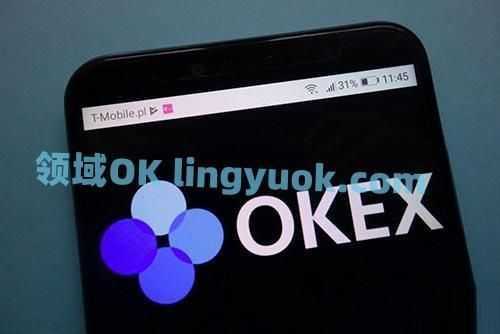 欧易OKEX永续合约手续费多少钱一天？ | 领域OK