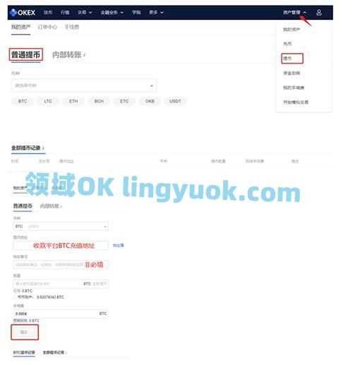 okex怎么提币？okex提币手续费怎么算的 | 领域OK