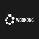 WOOKONG | 领域OK