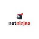 Net Ninjas官网,Net Ninjas | 领域OK