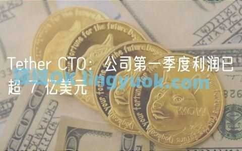 Tether CTO：公司第一季度利润已超 7 亿美元 | 领域OK