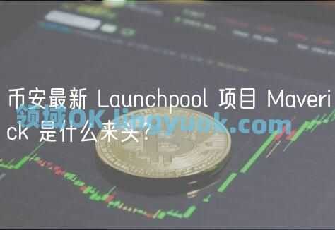 币安最新 Launchpool 项目 Maverick 是什么来头？ | 领域OK